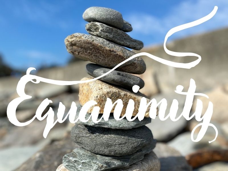 Searching for equanimity - Kristine Bruneau